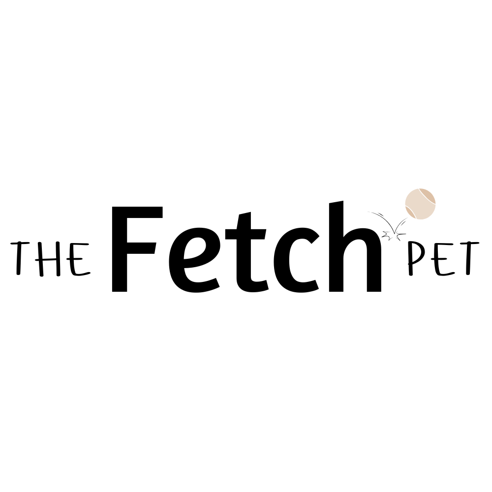 Collections – The Fetch Pet